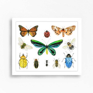 Bug Collection Beetle Art Print Insect Watercolor Butterfly Children's ...