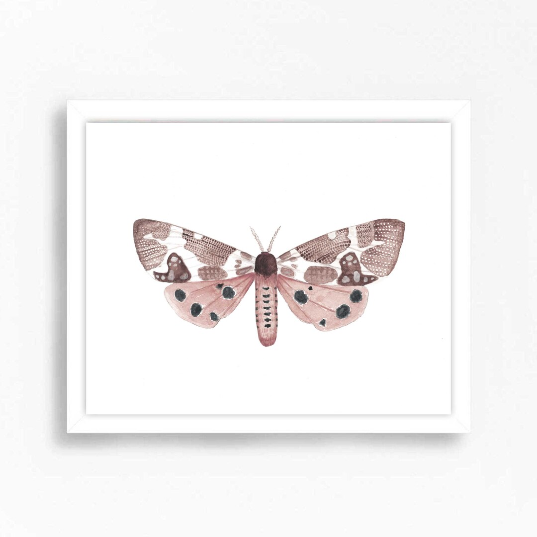 Moth Butterfly Pink Art Print Watercolor Painting Illustration - Etsy