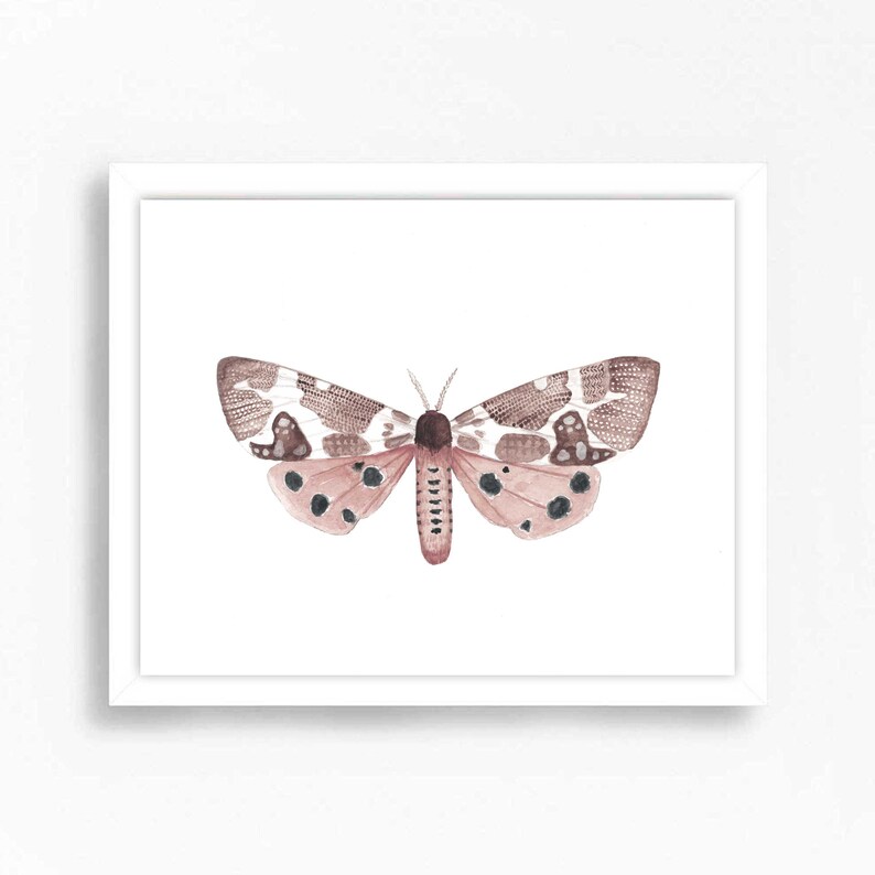 Moth Butterfly Pink Art Print Watercolor Painting Illustration Insect ...