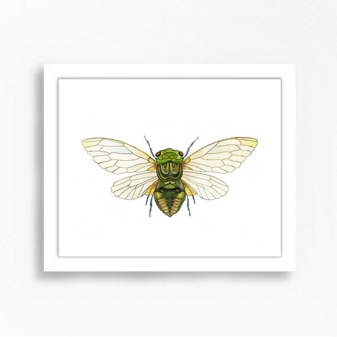 Cicada Art Print Cicada Art Insect Art Print Insect Art - Etsy