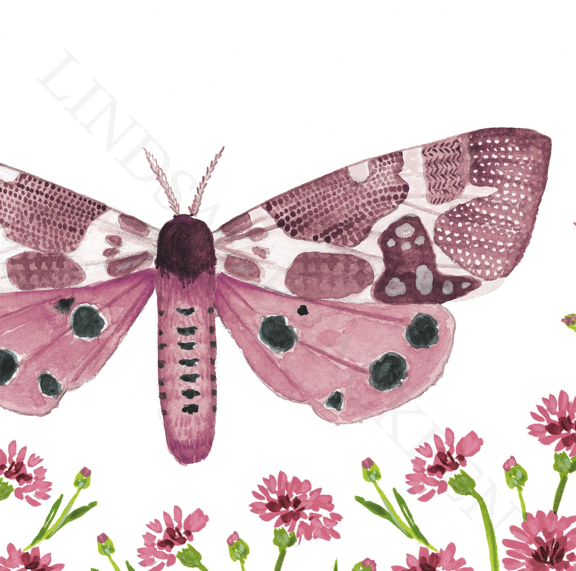 Pink Moth Art, Moth Art Print, Pink Saturn Moth, Moth Art, Colorful ...