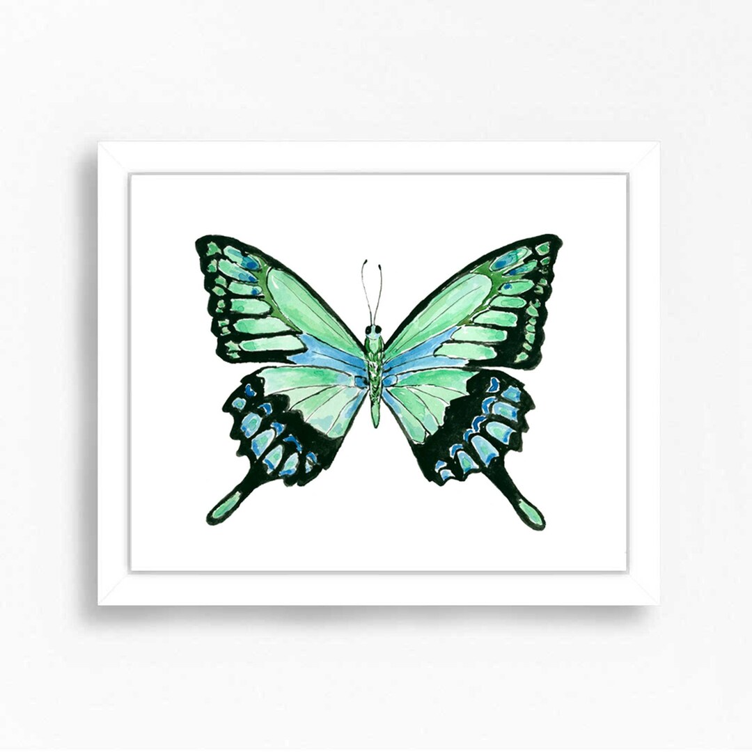 Blue Green Morpho Butterfly Art Insect Bug Kids Baby Wall Decor ...