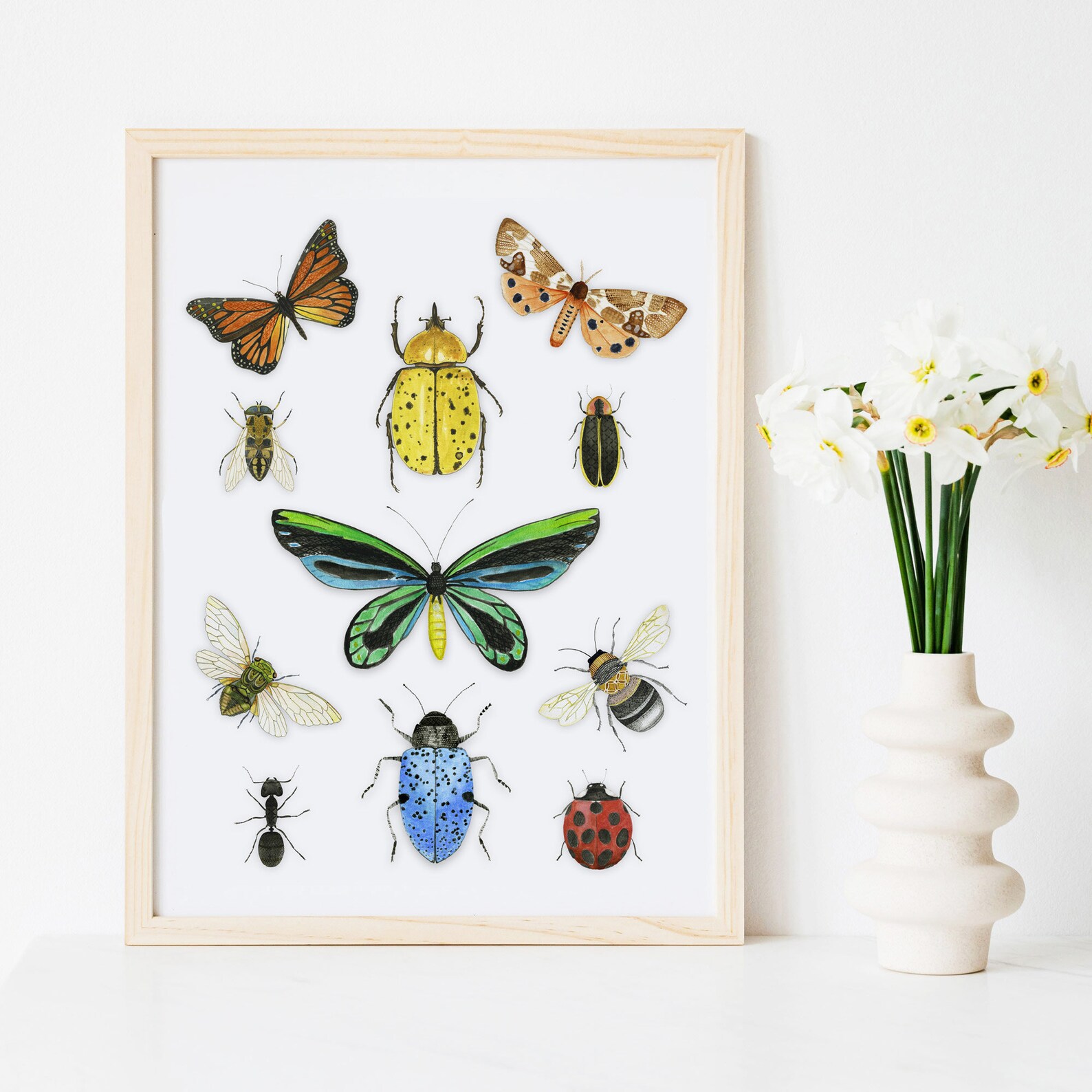 Bug Collection Beetle Art Print Insect Watercolor Butterfly - Etsy