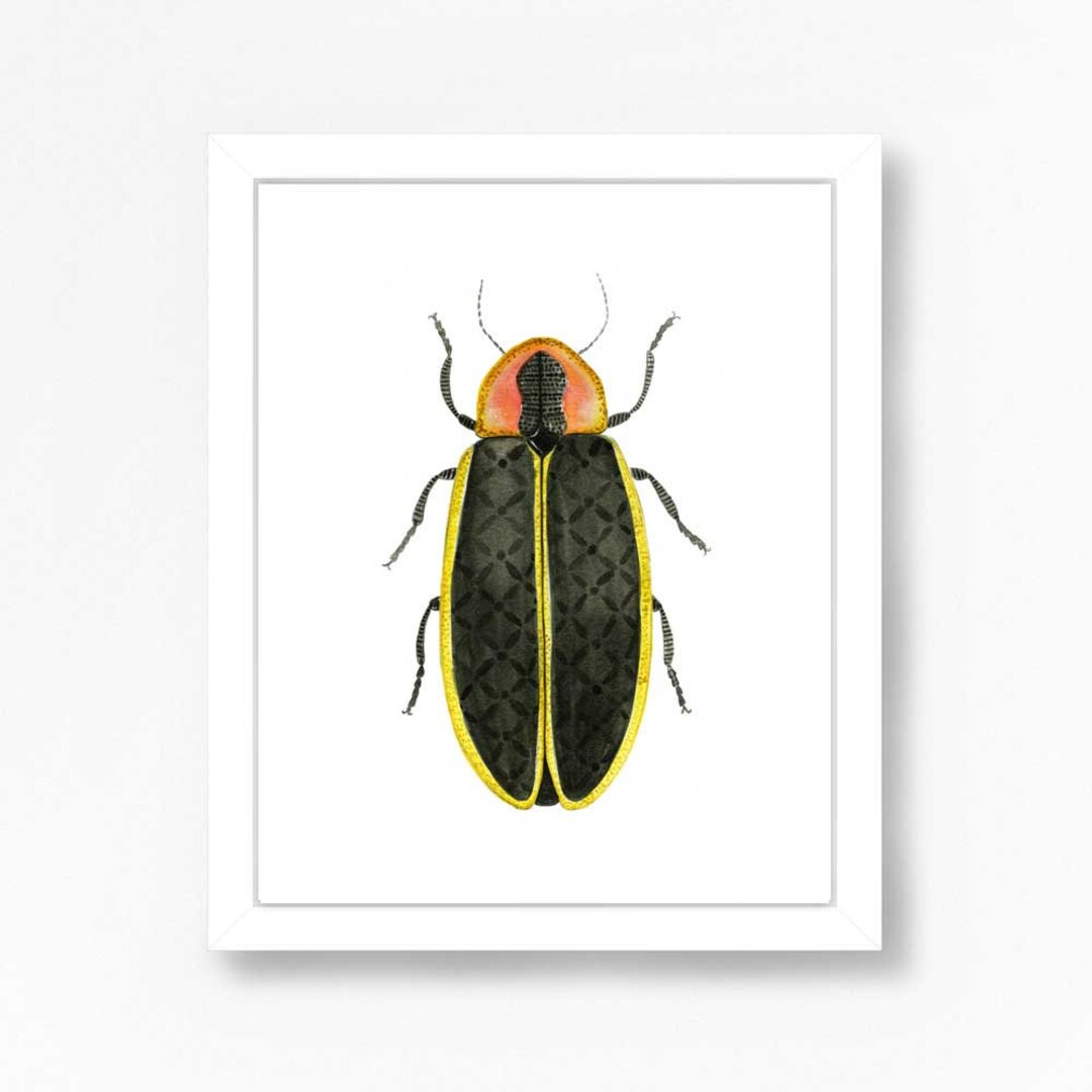 Firefly Art Print Bug Insect Entomology Lightening Boys Girls - Etsy