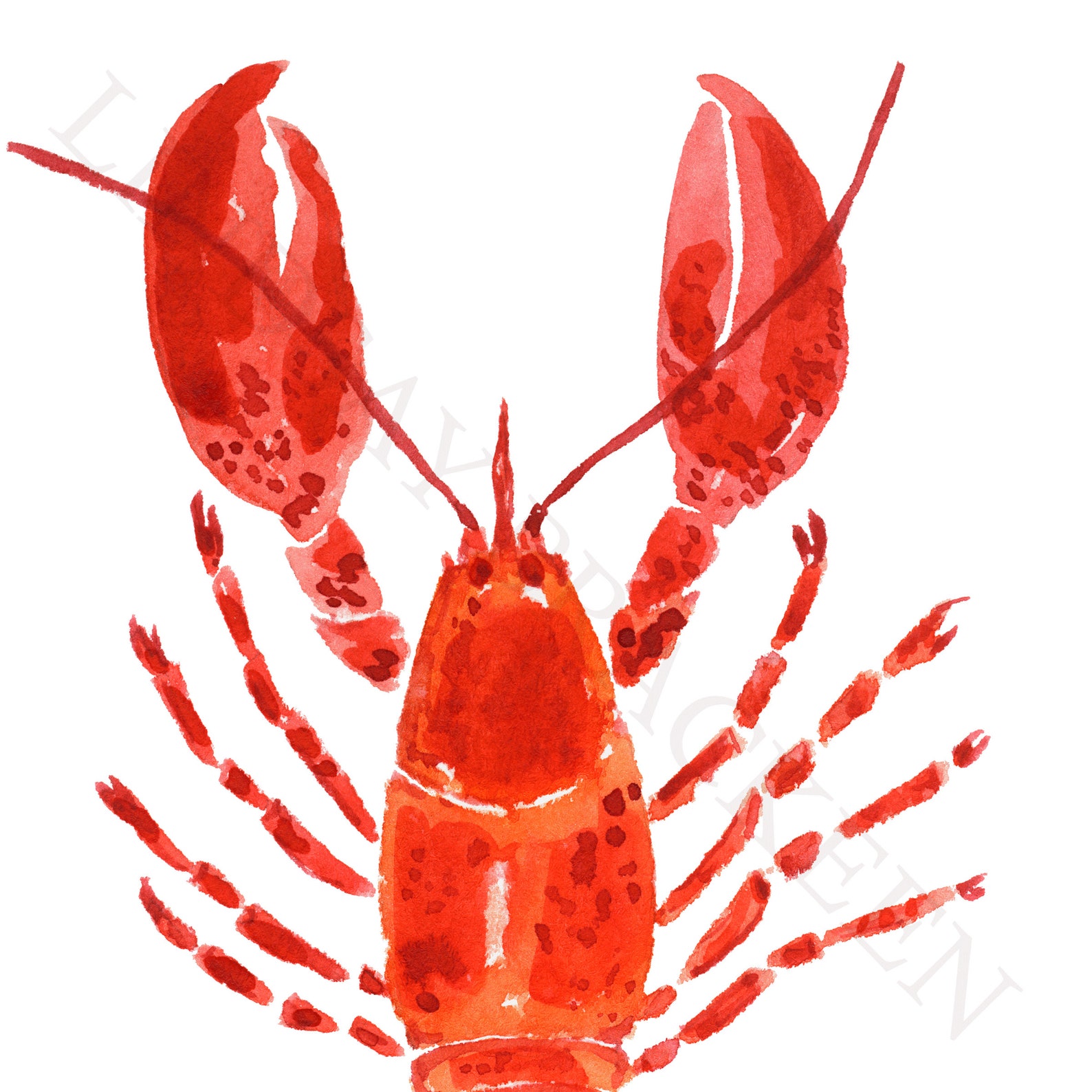 Lobster Buoys Crab Print Set Nautical Beachy Sea Side Coastal - Etsy