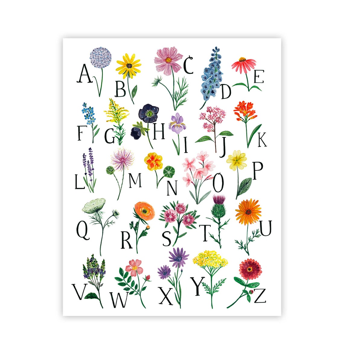 Flower Floral Alphabet Print Wall Art ABC Nursery Childrens | Etsy