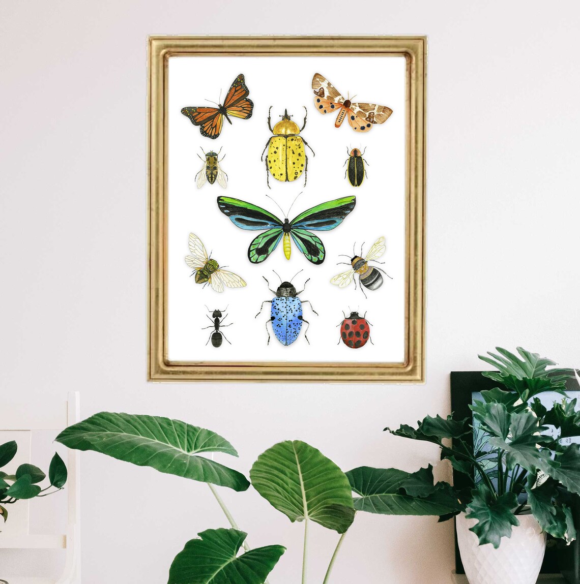Bug Collection Beetle Art Print Insect Watercolor Butterfly - Etsy