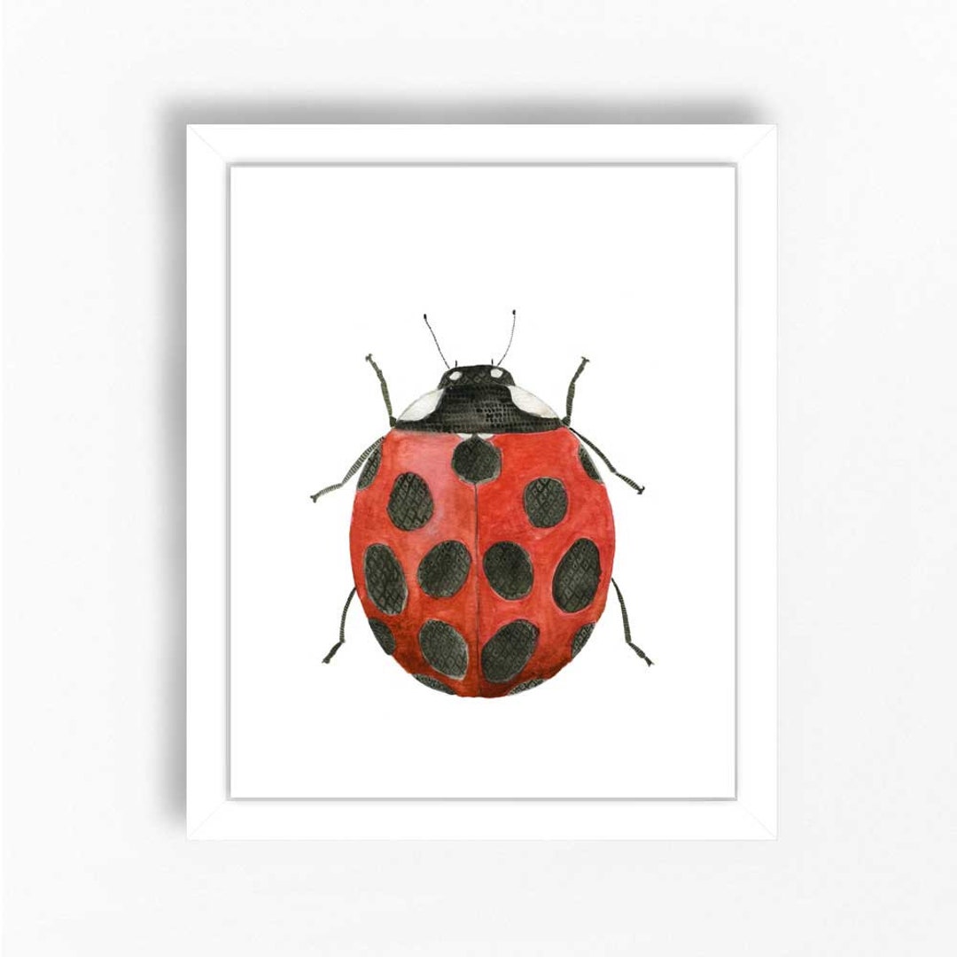 Ladybug Art Print: Insect Watercolor Painting, Farmhouse Wall Decor - Etsy