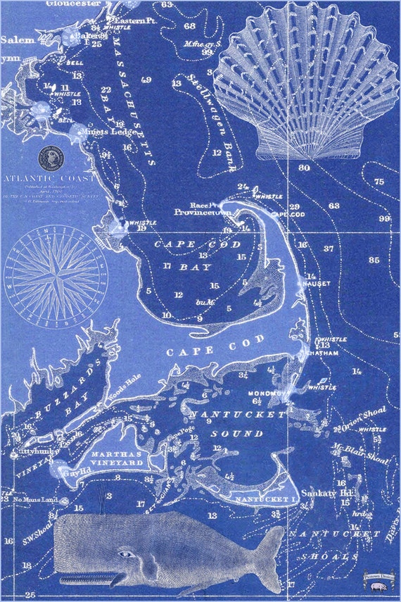 Cape Cod Map with Whale & Scallop Motifs in Blueprint Blue | Etsy