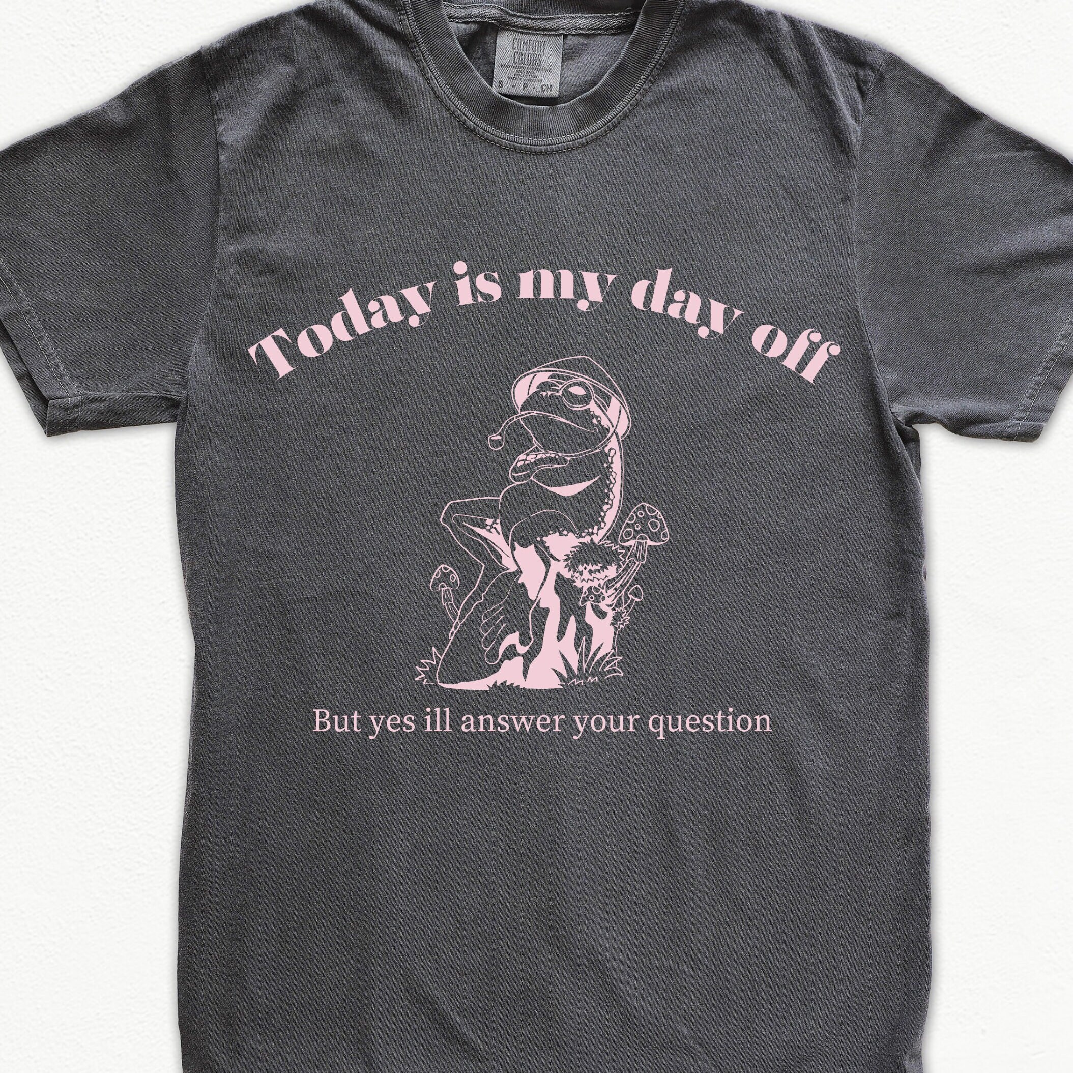 My off Day Frog 90s Retro Shirt, Vintage Frog Graphic T-shirt, Cute ...