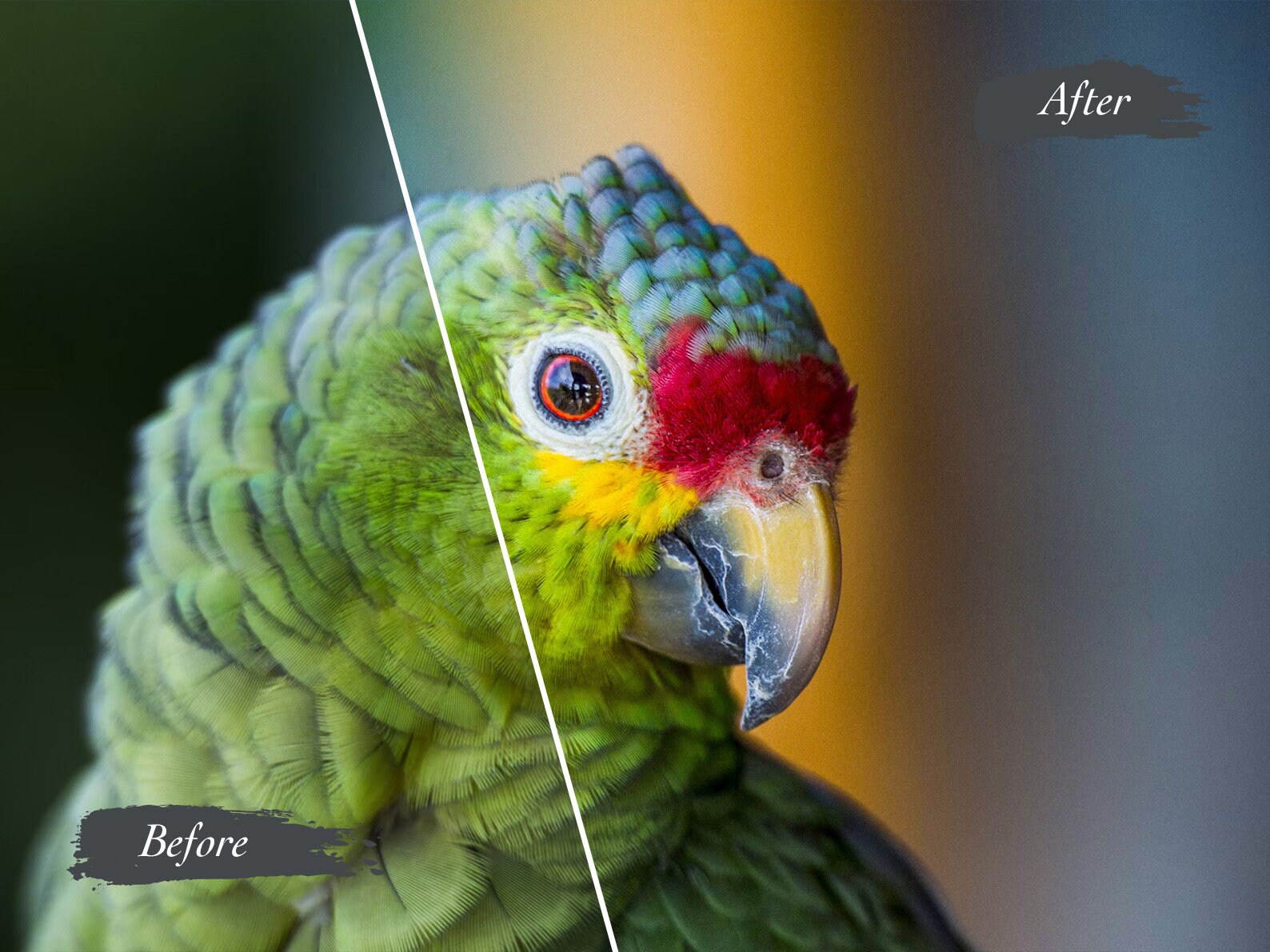 Summer Haze Lightroom Preset Pack: Warm Vibrant Photo Filters - Etsy