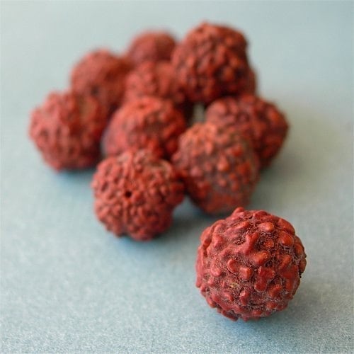 Red Rudraksha Beads 12mm Aka Shiva Seeds India 10/30/50 - Etsy