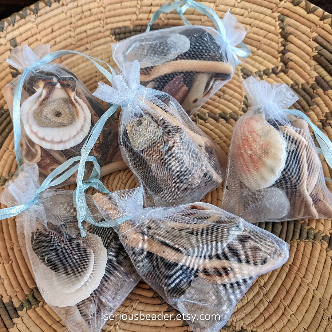 Earth Day Gift, Sensory Gift Bag, All Natural Hag Stone, Shells ...