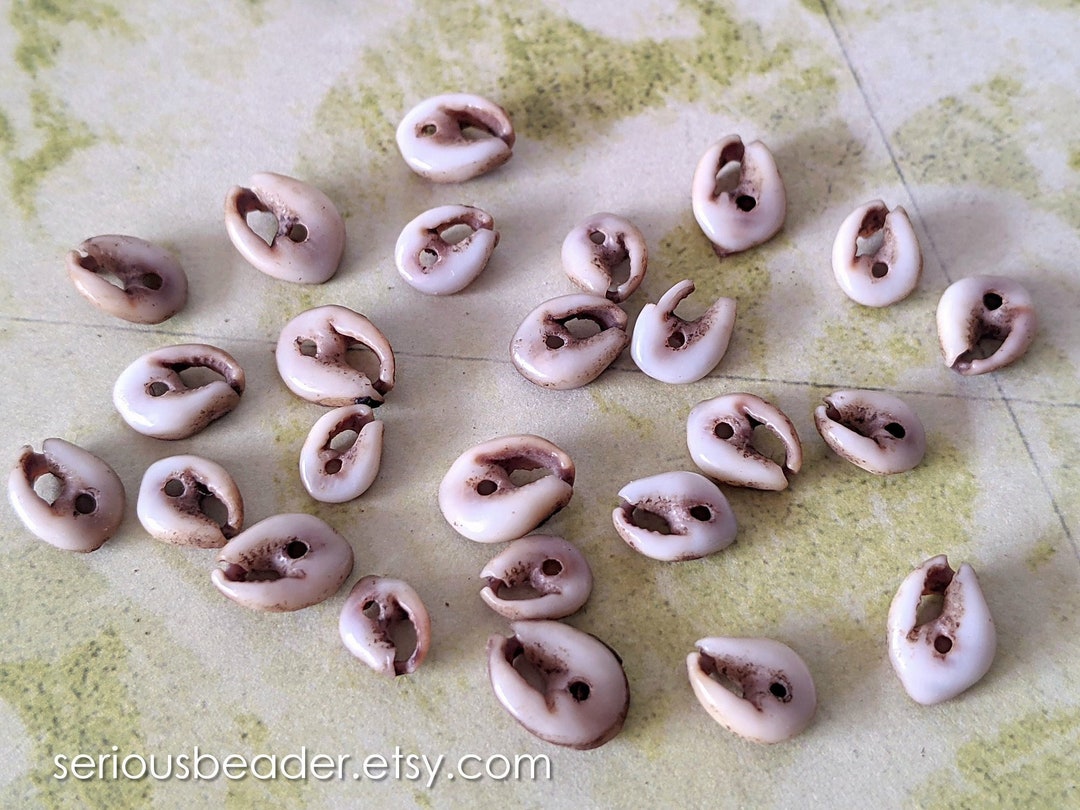 48 Tiny African Cowry Shell Beads, embroidery sew-ons, 7mm, very ...