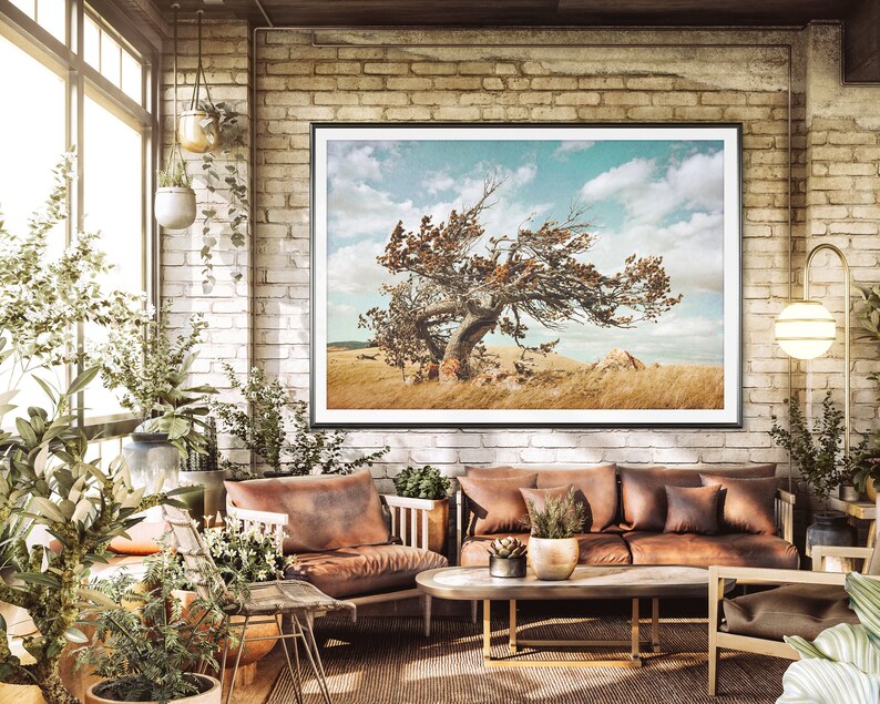 Rustic Landscape Photography - Etsy