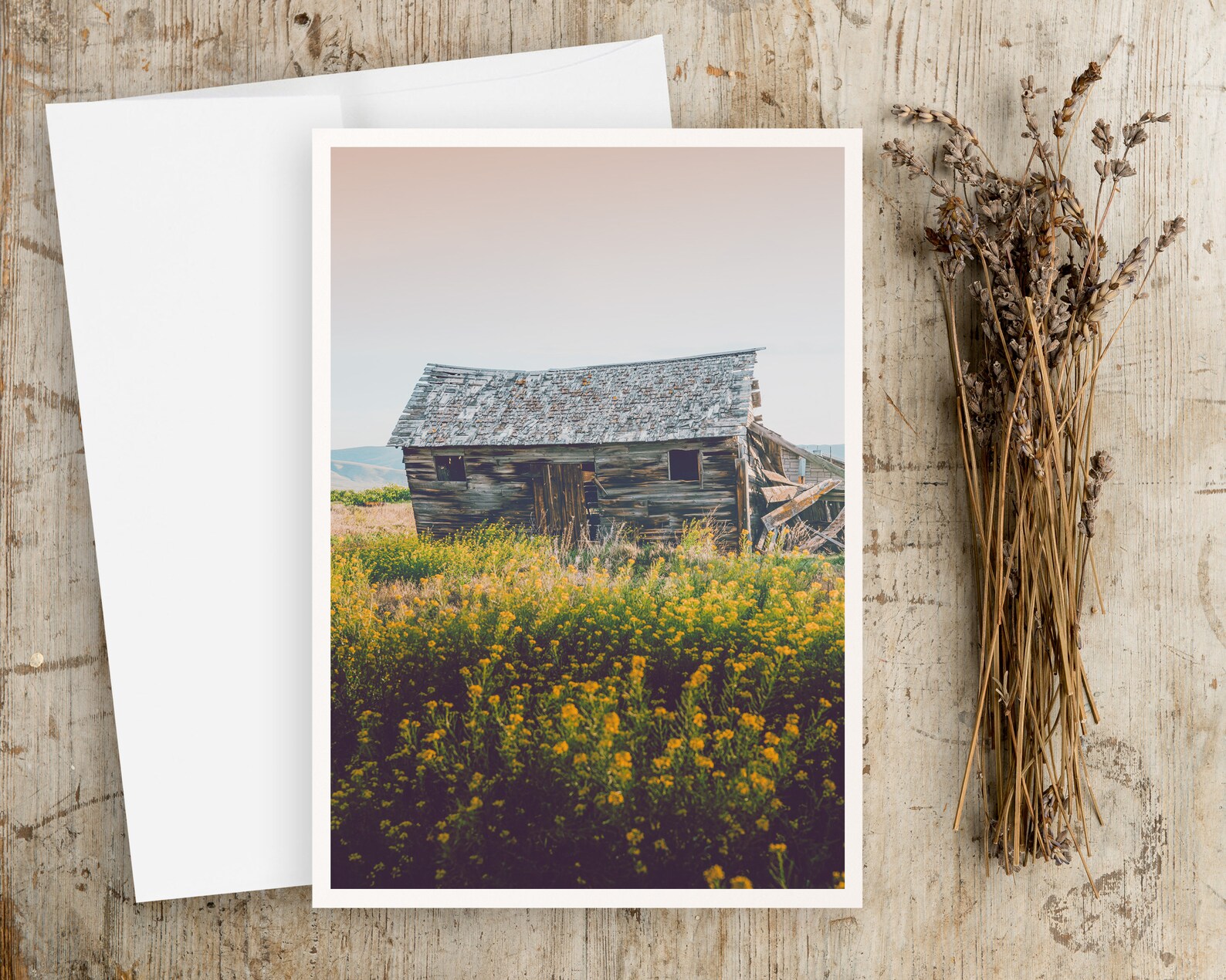 Rustic Cabin and Summer Landscape Photography - Western Wall Art - Folk ...
