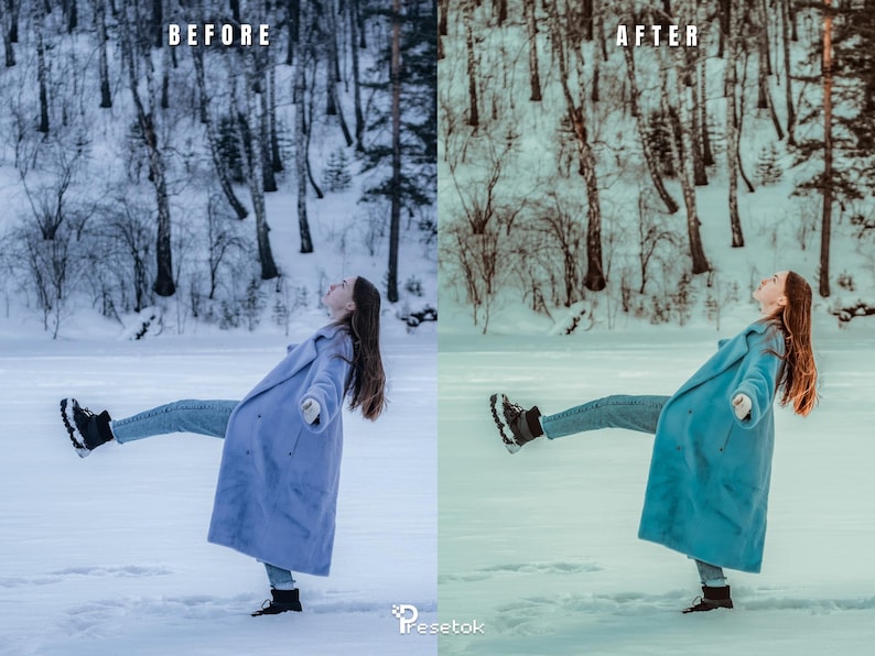 15 WINTER SUPREME Presets Lightroom, Ultimate Winter, Snow Presets ...