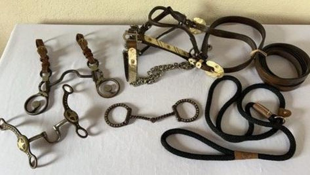 Vintage Jeweled Leather Horse Halter, Horse Bit, Leather Lead Rope ...