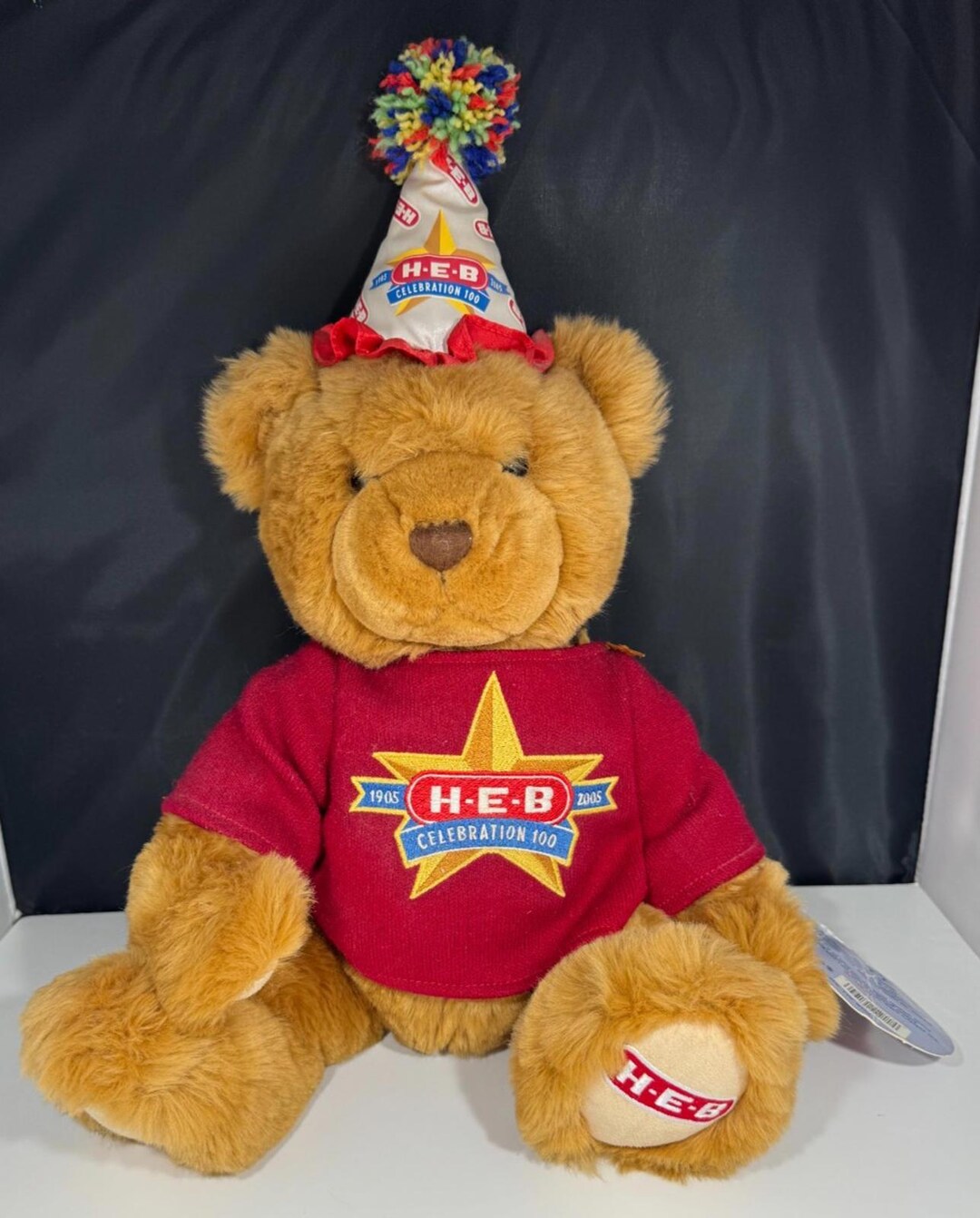 HEB 2005 Celebration 100 Years Plush Teddy Bear 1905-2005 New With Tag ...
