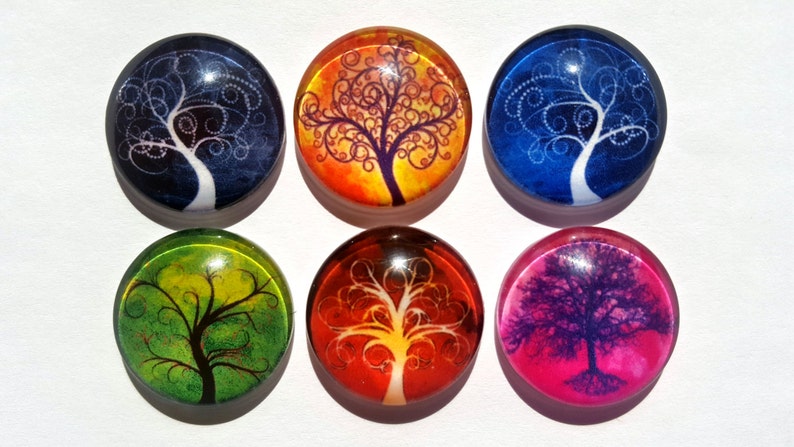 Tree of Life Glass Circle Magnets. Strong Magnet Set of 6 Circle ...