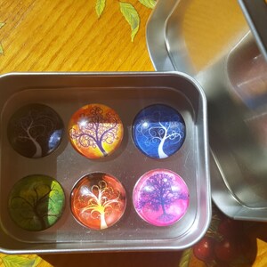 Tree of Life Glass Circle Magnets. Strong Magnet Set of 6 | Etsy