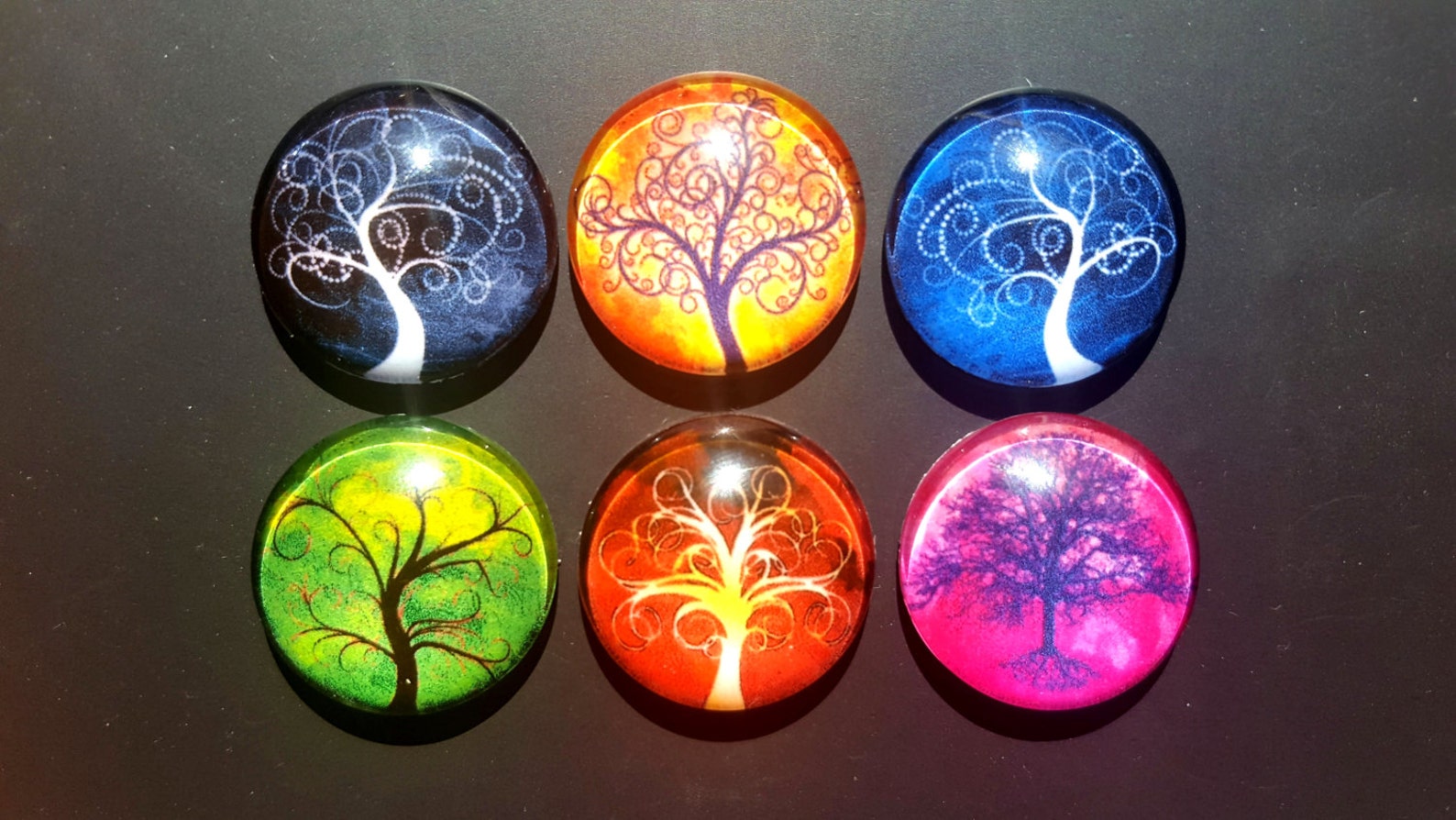 Tree of Life Glass Circle Magnets. Strong Magnet Set of 6 Circle ...