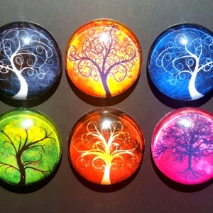 Tree of Life Glass Circle Magnets. Strong Magnet Set of 6 Circle ...