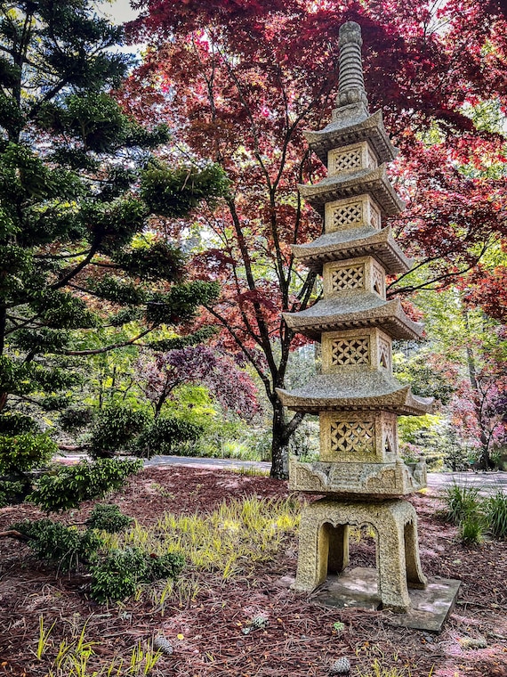 Pogado Japanese Landscape Designs