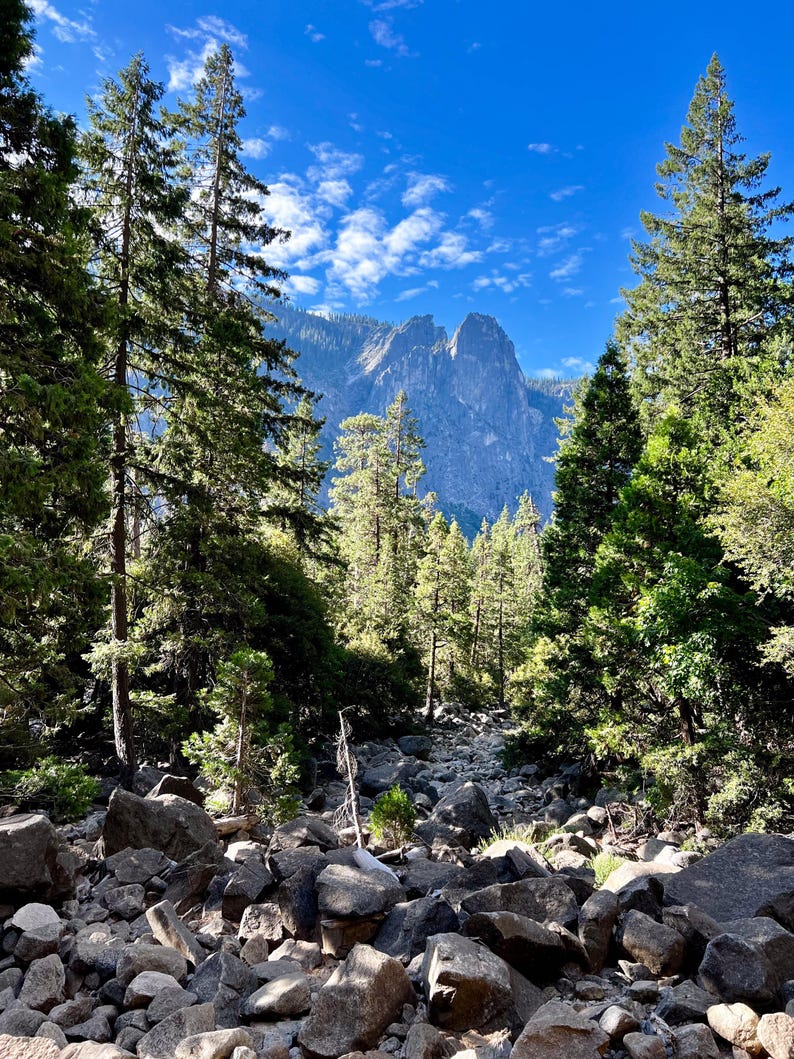 Yosemite - Majestic Mountain Landscape | Nature Wall Art | High ...
