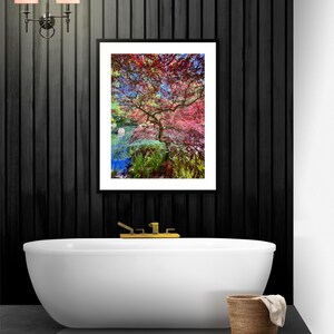 Japanese Maple Tree – Tranquil Garden Reflection, Zen Wall Art, Serene ...