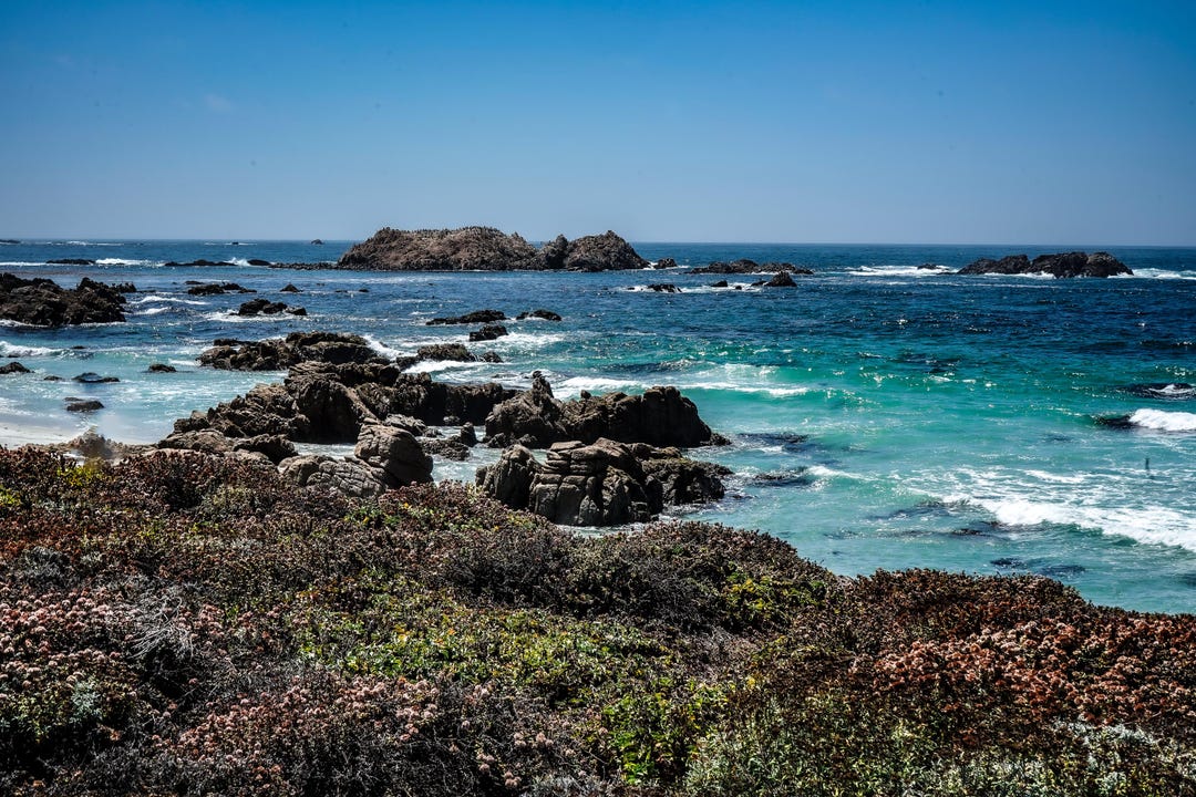 17-mile Drive Coastal - Pebble Beach Ocean Print | Monterey Scenic ...