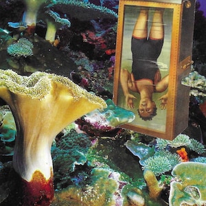 Original Collage Art, Surreal Artwork, Underwater Escape Artist - Etsy