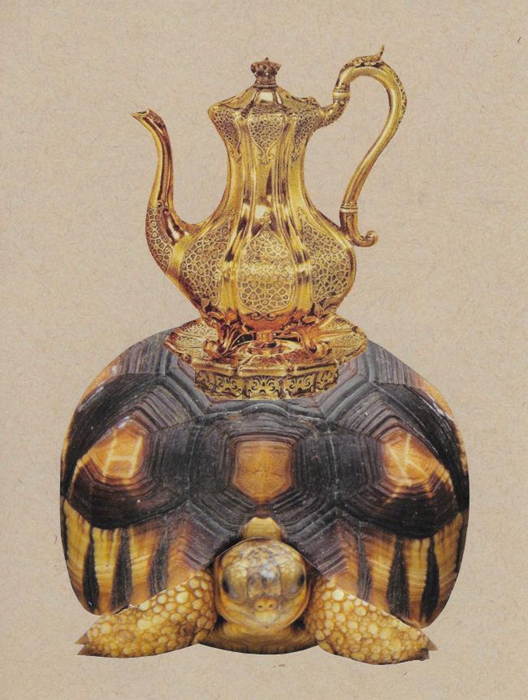 Original Collage Art, Tortoise Art, Surreal Tea - Etsy