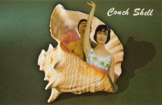 Original Collage Art Seashell Artwork Conch Shell Art | Etsy