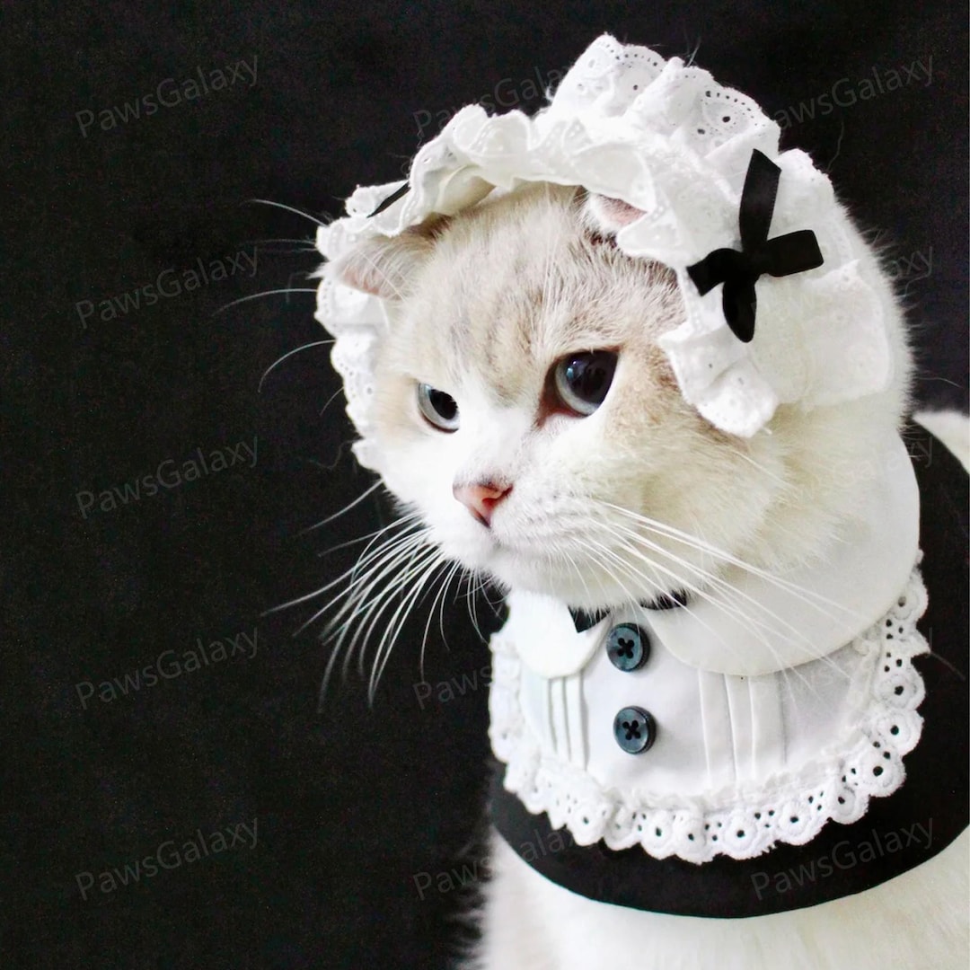 French Maid Cat Bandana Halloween Costume, Black White Bibs and ...