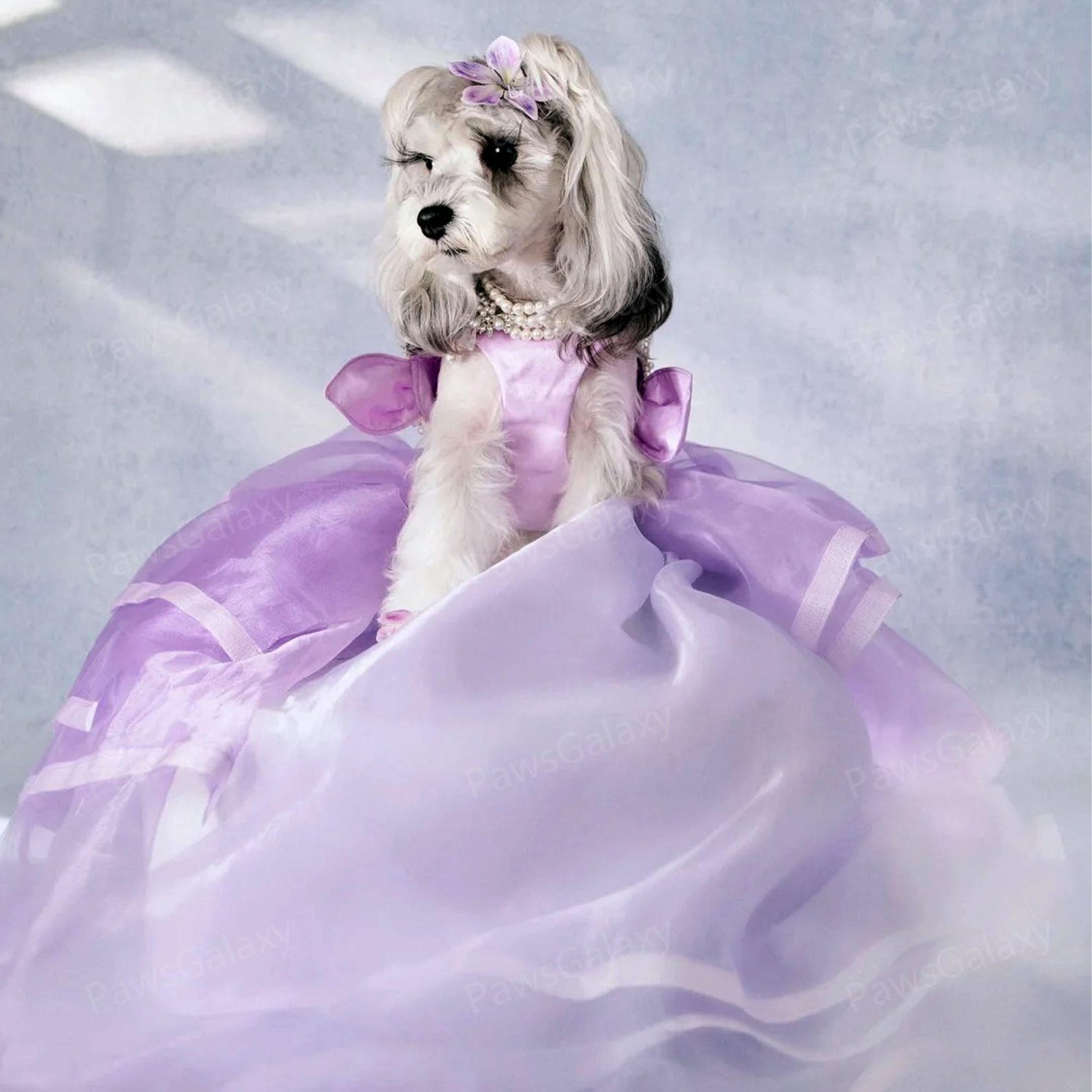 Lavender Dog Wedding Dress With Long Train, Luxury Beaded Gown Pet ...