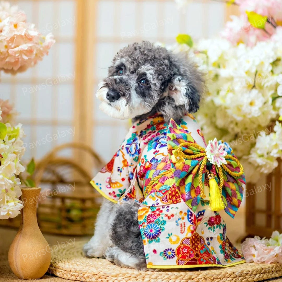 Customizable Japanese Kimono for Dogs, Rainbow Floral Kimono for Large ...