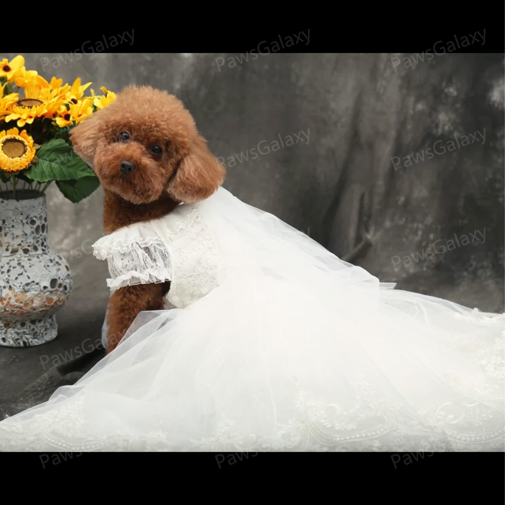 Customizable White Flower Lace Tulle Long Train Gown for Dogs and Cats ...