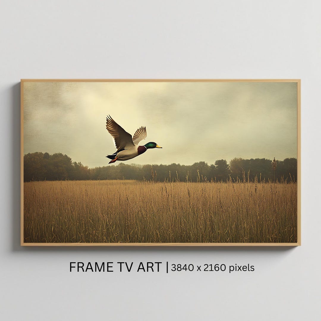 Flying Mallard Duck Frame TV Art Digital Download for Samsung Frame TV ...
