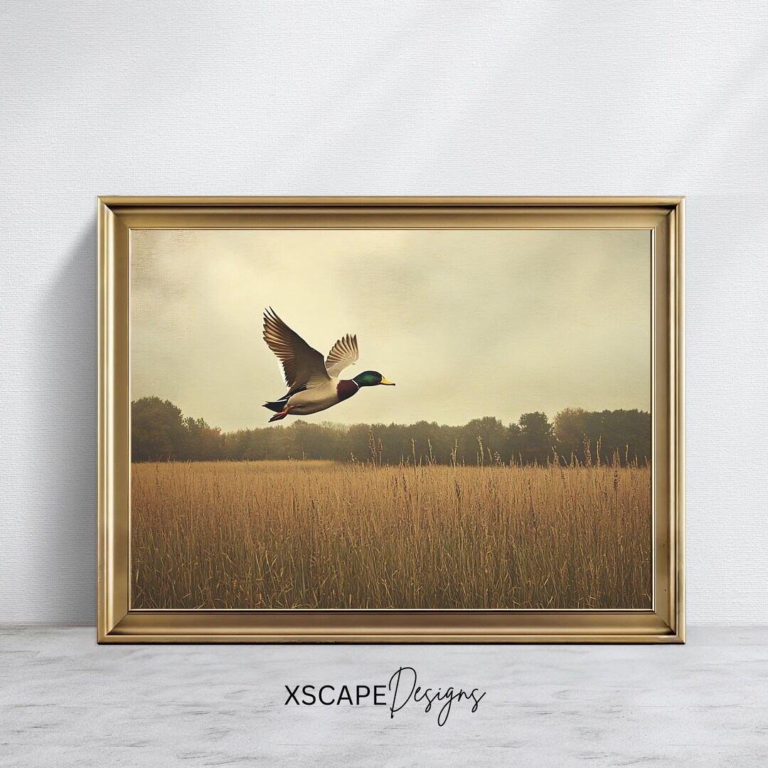 Vintage Duck Art Print, Flying Mallard Wall Decor, Rustic Nature Scene ...