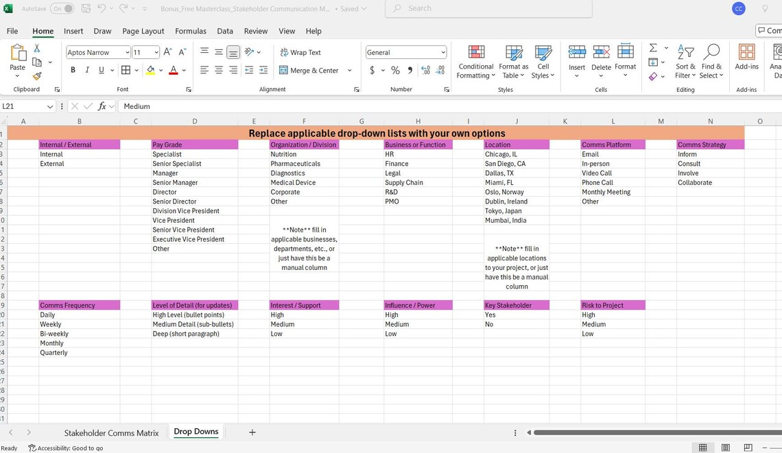 Stakeholder Management Excel Template | Editable Project Register & Log ...