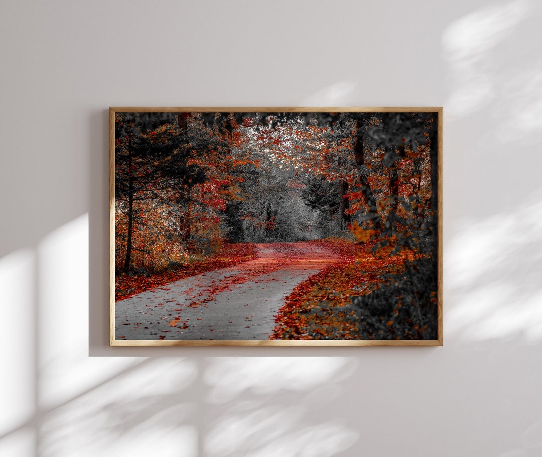 Fall Backroads Digital Download - Etsy