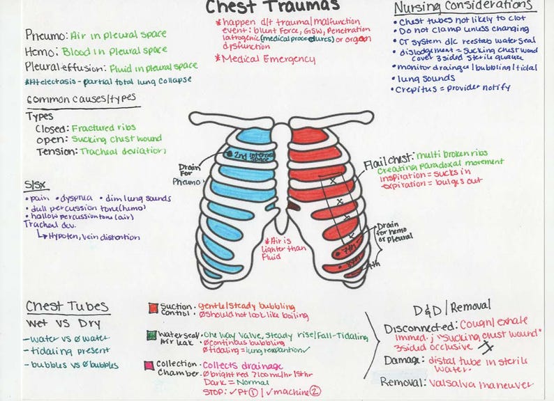 Chest Trauma Nursing Doodle | Concept Map Study Guide | Med-surg Notes ...