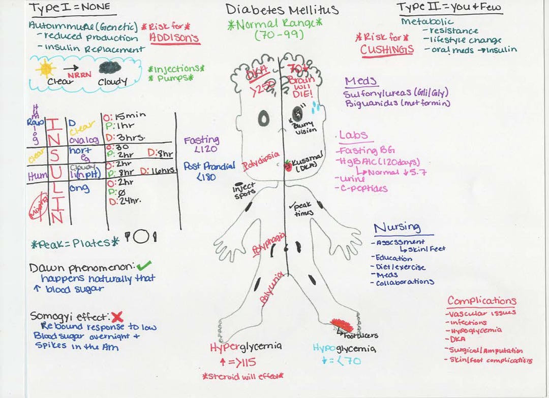 Endocrine Nursing Mega Bundle | Diabetes Mellitus, Dka Vs Hhsn ...