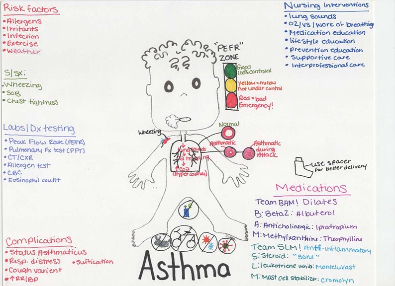Asthma Concept Map | Nursing Notes | Respiratory Med-surg Study Guide ...