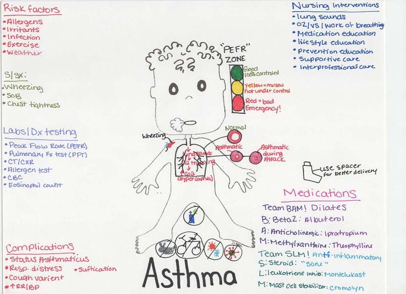 Respiratory Nursing Study Guide Bundle: COPD, Asthma, Pneumonia (PDF ...