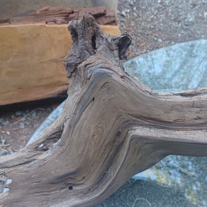 Old Growth Redwood Root - Etsy