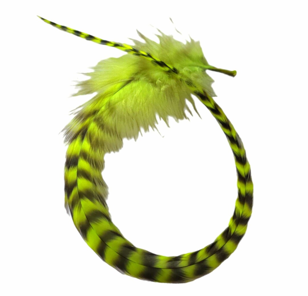 BRIGHT GREEN GRIZZLY Thick Long Feather Hair Extensions Plus 3 Free ...