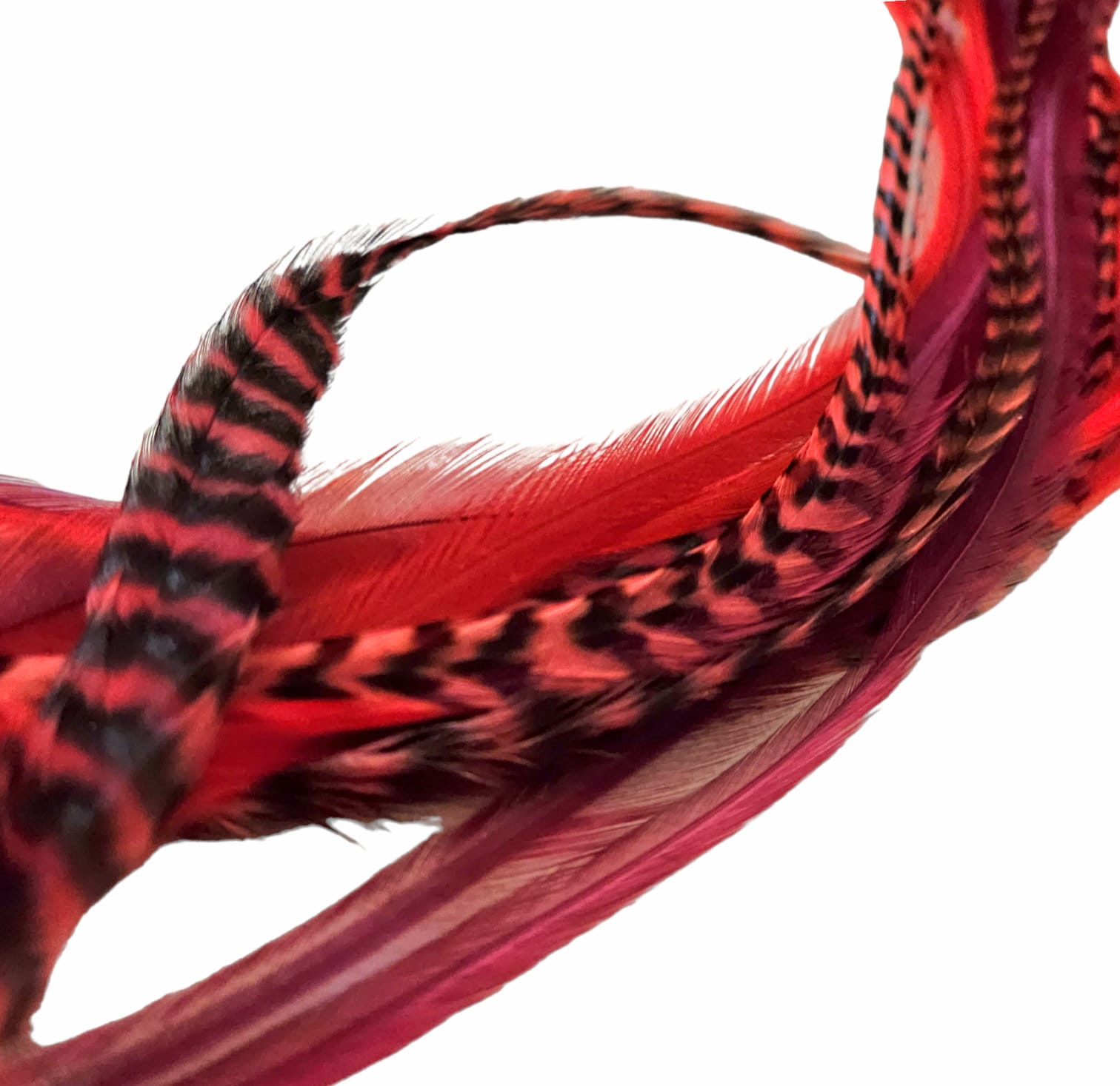REDS Skinny Feather Hair Extensions Plus 3 FREE Micro Crimp Beads ...