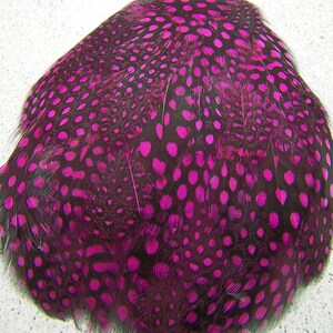 PINK GUINEA Feather Pads, Black With Pink Polka Dots, Guinea Feathers ...